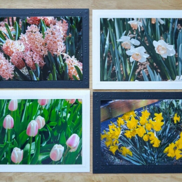 Colorful photos blank note cards by MountainsToSeaPhotos on Etsy