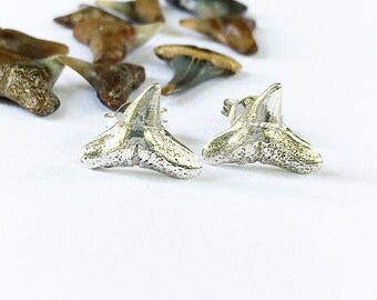 Lemon shark tooth | Etsy