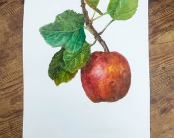 Apple tree art | Etsy