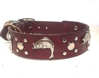 Concho dog collar | Etsy