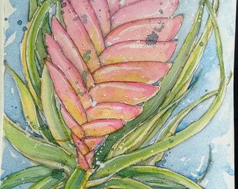 Bromeliad | Etsy