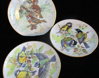 Bird plates | Etsy