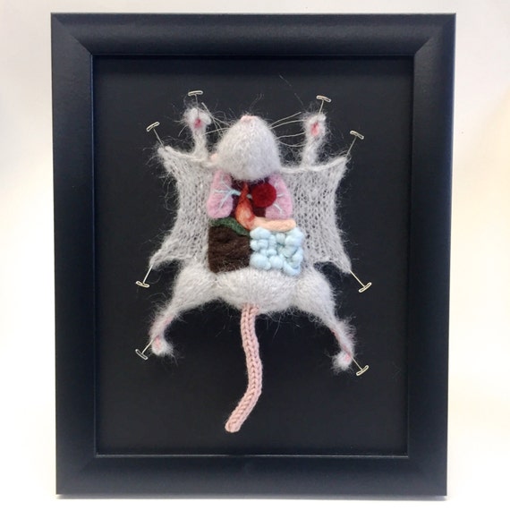Grey Knitted Lab Rat: Framed with Black Background