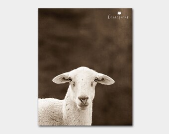 Sheep photography | Etsy