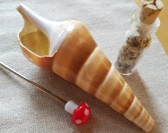 Seashell pipe | Etsy