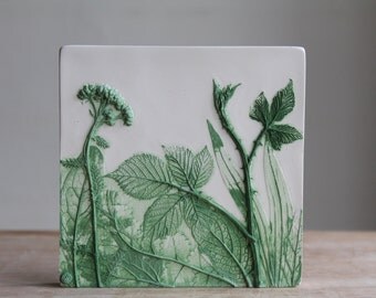 Rachel Dein Botanical Casts in Plaster and Concrete by RachelDein