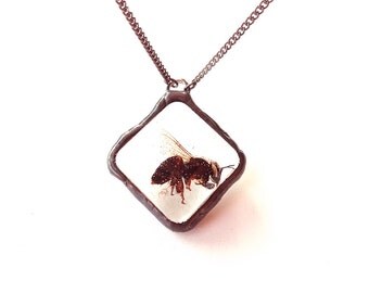 Real insect jewelry | Etsy