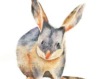 Bilby | Etsy