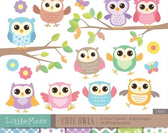 Baby owl clipart | Etsy