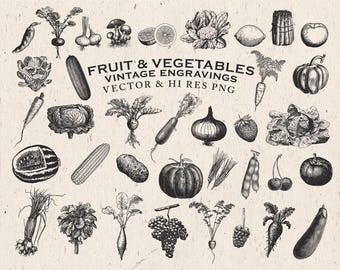 Vegetable stencil | Etsy