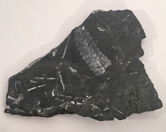 Unique shale related items | Etsy