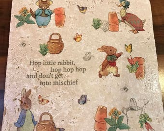 PETER RABBIT Beatrix Potter Party Package 2 Food Table