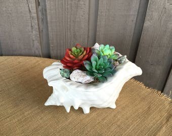 Shell arrangements | Etsy