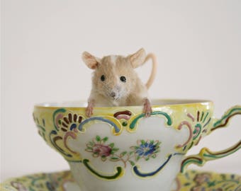 Mouse in teacup | Etsy