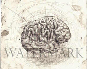 Human brain drawing | Etsy