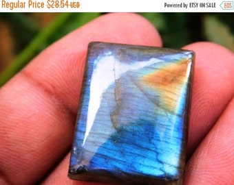 Unique madagascar palm related items | Etsy