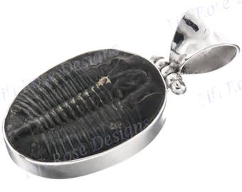 Trilobite pendant | Etsy