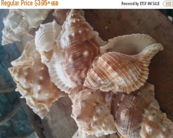 Maple leaf design | Etsy