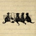 Kittens in Row Cat Digital Graphic Printable Cat Illustration