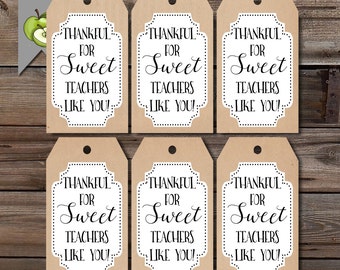 You light my path for learning gift tag Teacher Appreciation