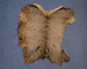Elk hide | Etsy