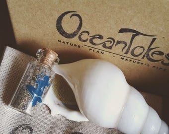 Seashell pipe | Etsy