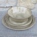 Dragonfly 4pc pottery dinnerware set with embossed dragonflies