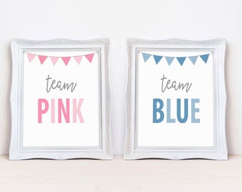 Team Pink or Team Blue Baseball Gender Reveal Invitation