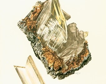 Mineral drawing | Etsy