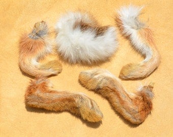 Rabbits foot | Etsy