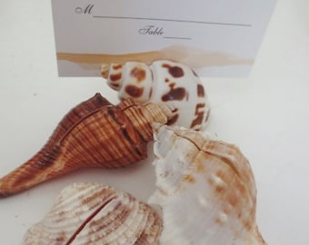 Shell place card | Etsy