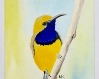 Sunbird | Etsy