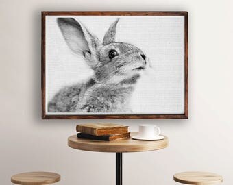 Surreal Rabbit Photo Rabbit Photo Bunny Art Bunny Print