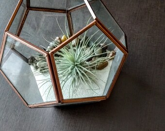Geometric terrarium | Etsy