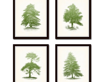 Oak Leaf Botanical Print Set No. 2 Botanical Prints Antique