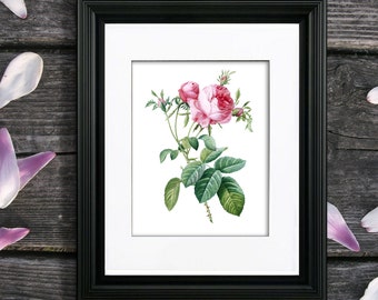 Rose artwork | Etsy