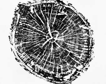 Tree ring art print | Etsy