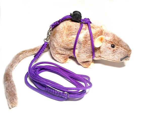 Guru Gear Rat Harness & Leash Set No-Slip / by HappyRatShop