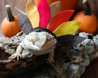 Hedgehog costume | Etsy