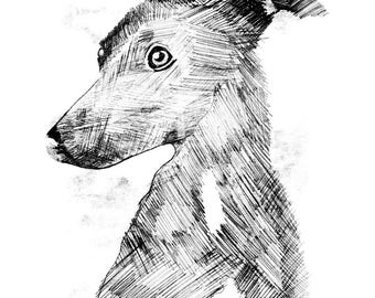 Greyhound drawing | Etsy