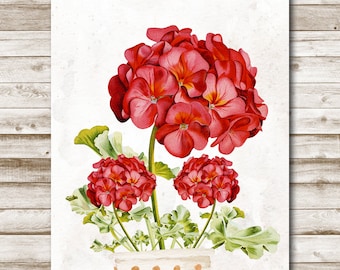 Geranium print | Etsy