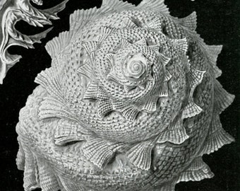 Unique sea shell art related items | Etsy