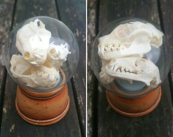 Curio cabinet | Etsy