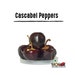 Dried Cascabel Chili Pepper Chile Cascabel 4 oz 8 oz 12