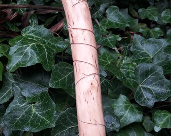 Hiking stick | Etsy