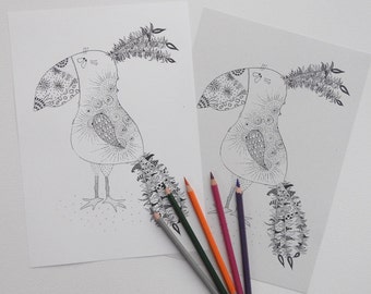 The Messenger Fairy Tangles Printable Coloring Book Pages