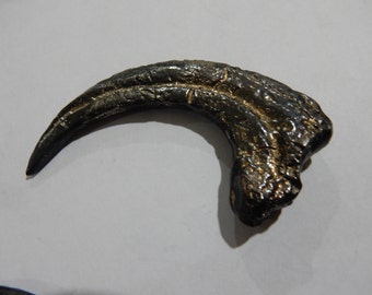 Dinosaur claws | Etsy