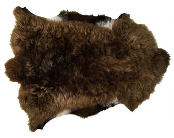 Bear skin rug | Etsy