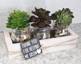 Succulent box | Etsy