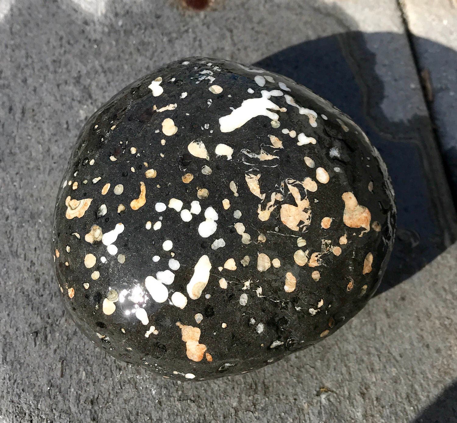 Black river rock with white speckles - Spotted stone - Alaska river ...